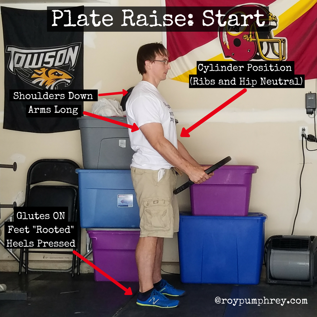 Train Your Shoulders, Chest, Arms and Abs with the Plate Raise